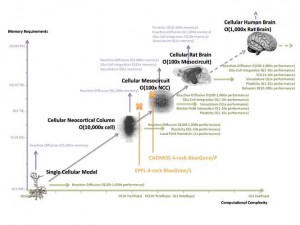 Research in progress blog Building the Brain: The Human Brain Project ...