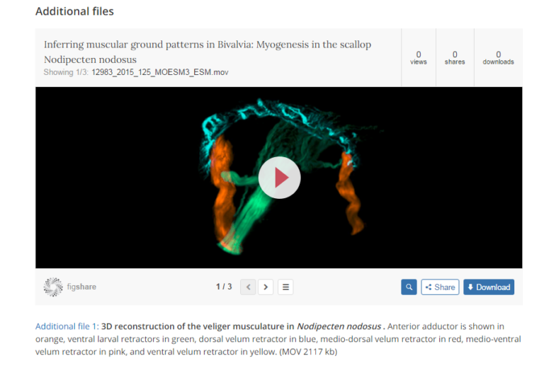 Research in progress blog Update: more research made accessible with ...