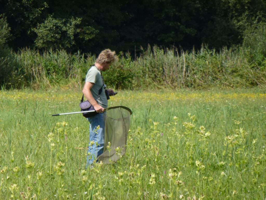 BMC Series blog Collecting for the conservation of endangered insect ...