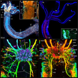 BMC Series blog 12 months, 12 pictures: the best images from 2016 in ...