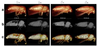 BMC Series blog Highlights of the BMC-series: July 2017