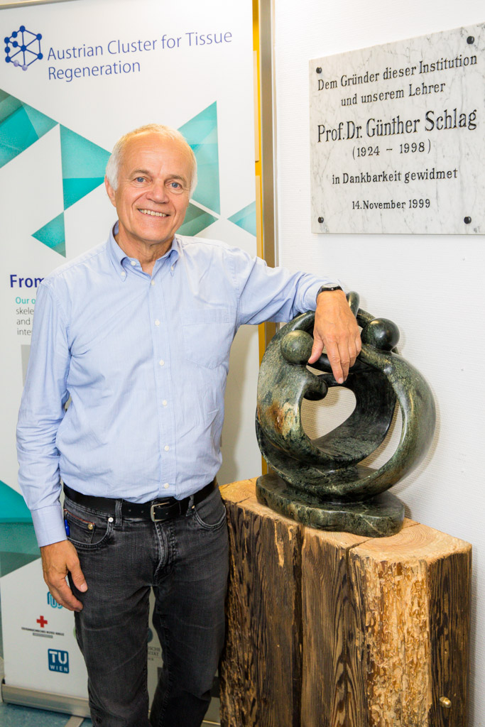 BMC Series blog An interview with the Chair for TERMIS-Europe, Prof ...