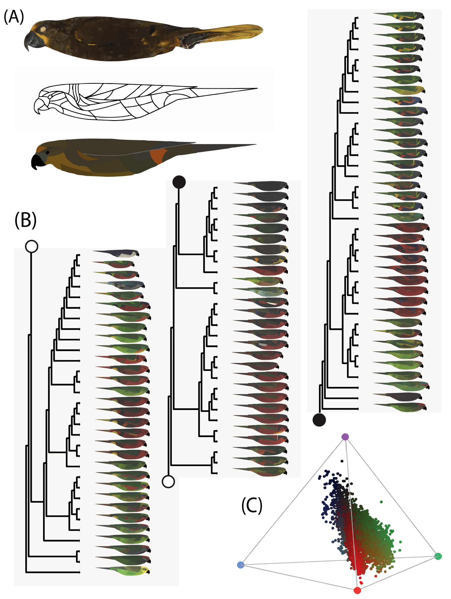 BMC Series blog Highlights of the BMC series: February 2020