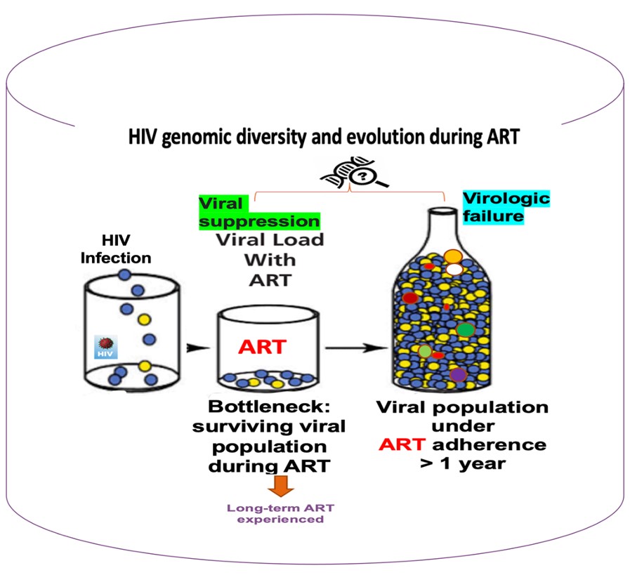 BMC Series blog Introducing the BMC Series SDG Editorial Board Members ...
