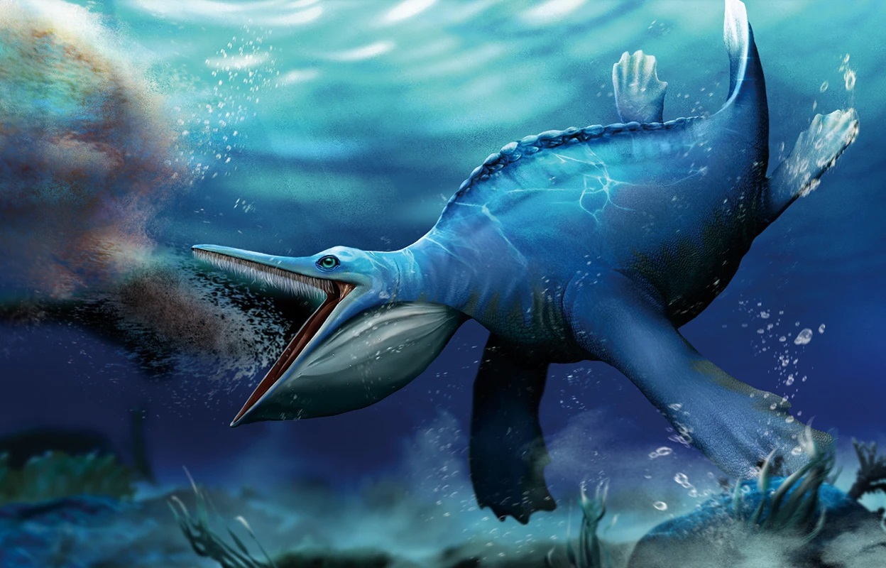 BMC Series blog Highlights of the BMC Series – August 2023