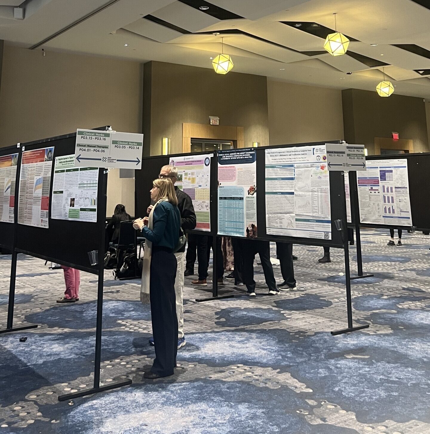 BMC Series blog BMC Complementary Medicine and Therapies attends the ...