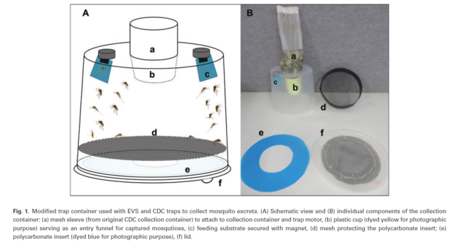 BugBitten A new era in mosquito-borne disease surveillance