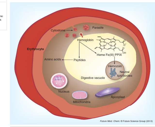 BugBitten Malaria: understanding drug resistance