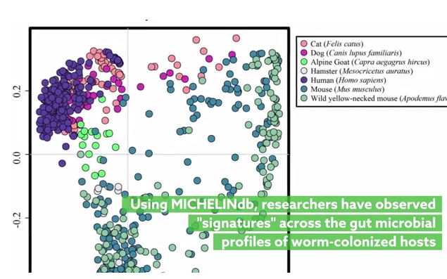 BugBitten MICHELINdb – a new online platform for mining available data ...