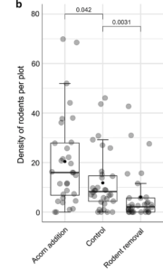 BugBitten Rodent rendezvous increases tick density but does it impact ...