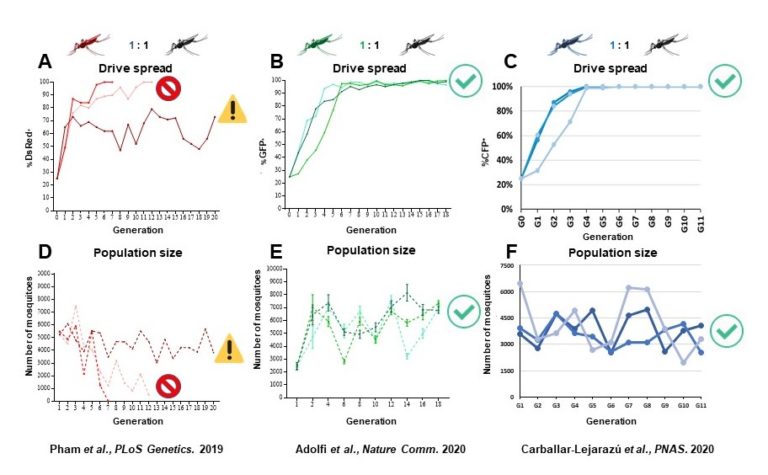 BugBitten Mosquito population modification: the drive to malaria ...
