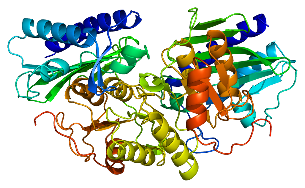 BugBitten Cestodes and sticklebacks: manipulating the mind