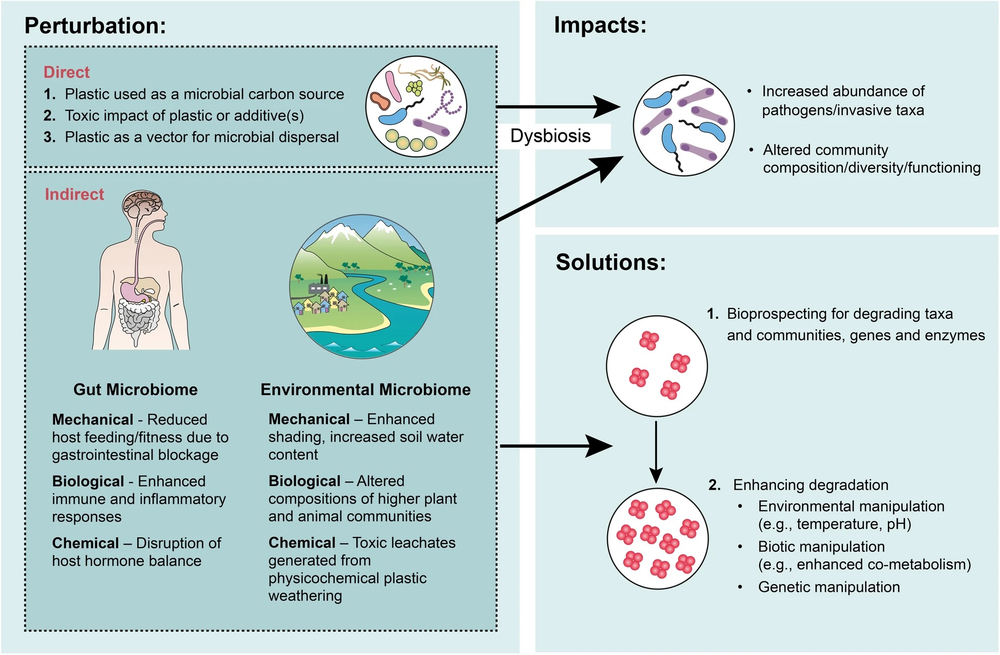 BugBitten Microplastics and microbes – have we created a new disease ...