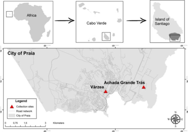 BugBitten Surveillance of insecticide resistance mutations in local ...