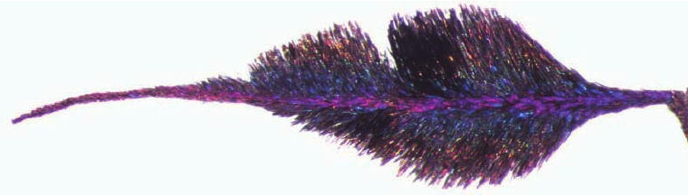 BugBitten Does the jewel of mosquitos come with a price?