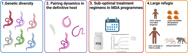 BugBitten Schistosomiasis and praziquantel resistance