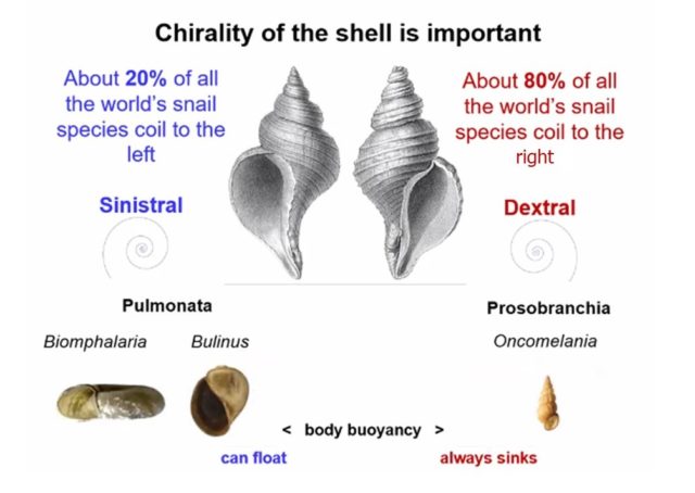 BugBitten Sharing innovative research in Uganda