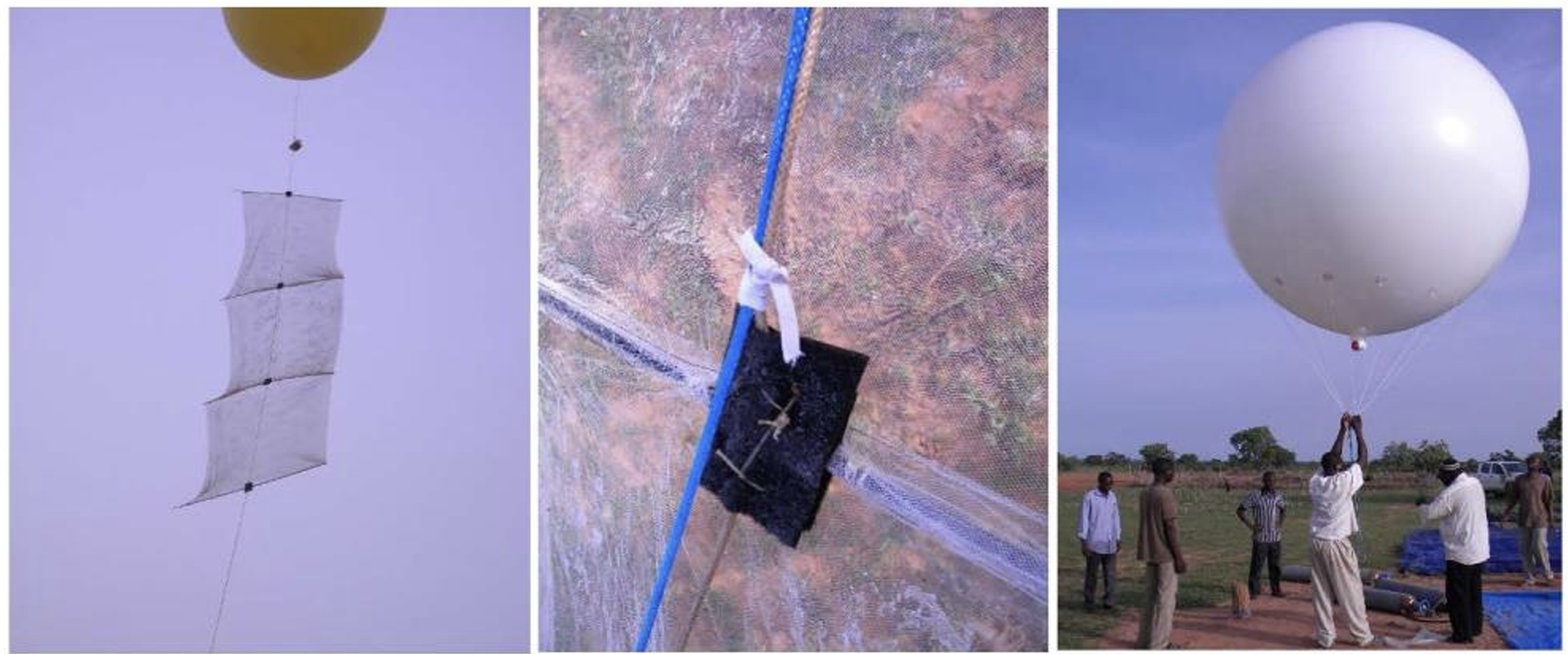 BugBitten Is a new threat being blustered to Africa?