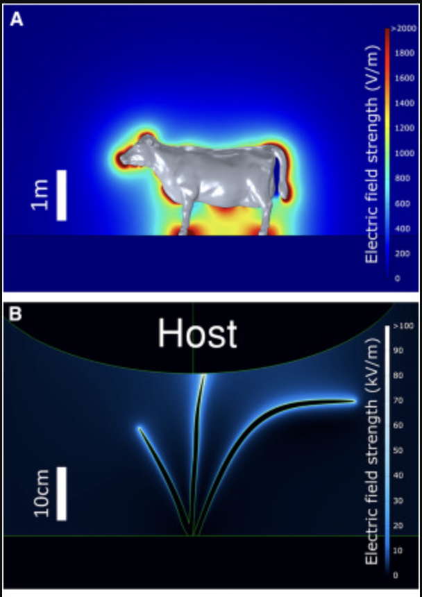 BugBitten When ticks fly: Can static attract the Lyme disease carriers ...