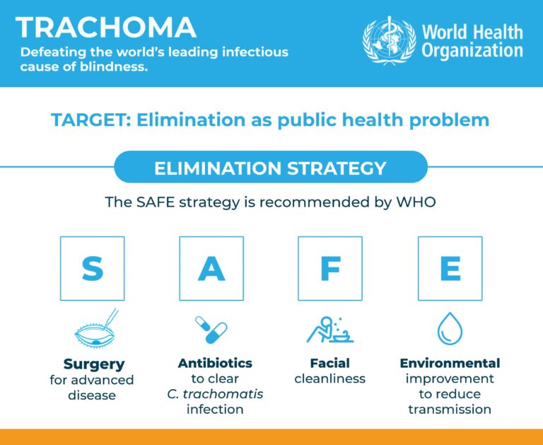 BugBitten Lessons from the successful elimination of trachoma in Togo