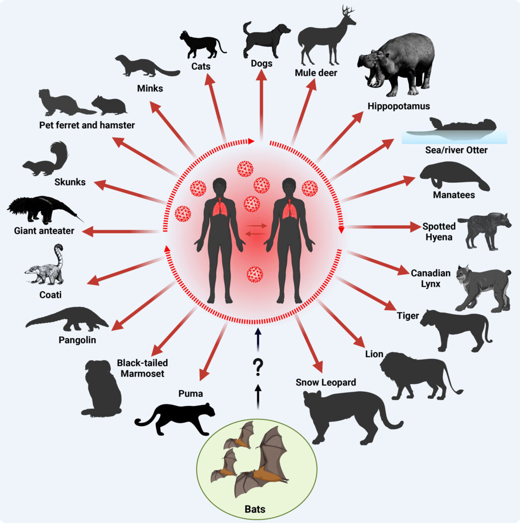 BugBitten While humans fear the zoonotic disease, animals fear the reverse