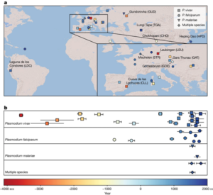 BugBitten Tracing malaria’s historical impact and distribution through ...