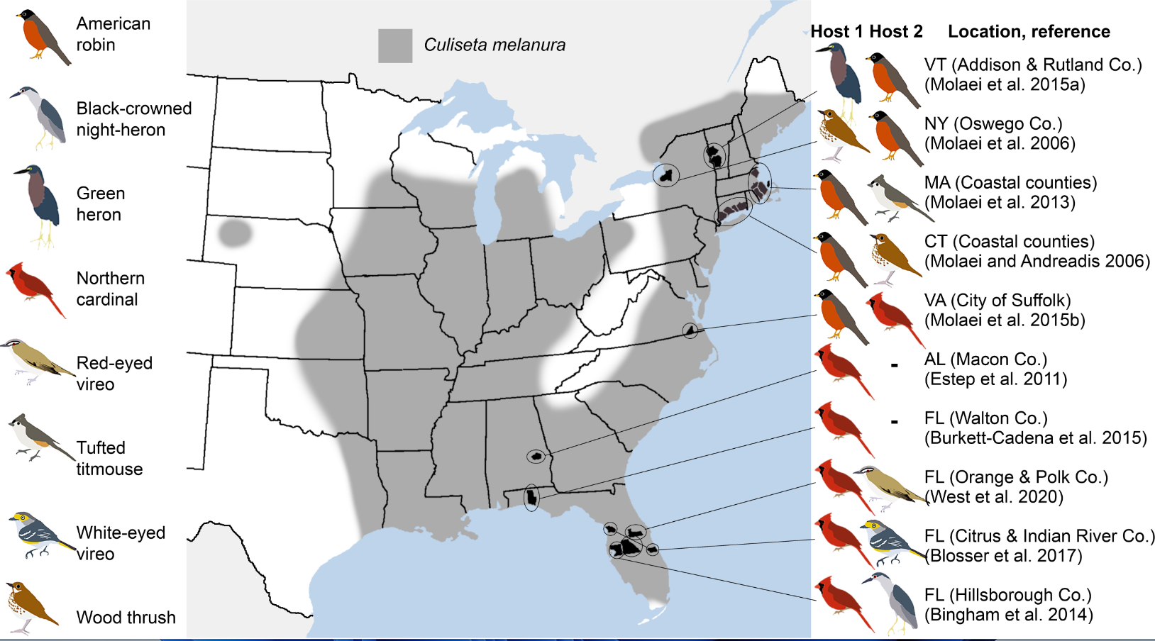 BugBitten Eastern Equine Encephalitis Virus Reported in New England