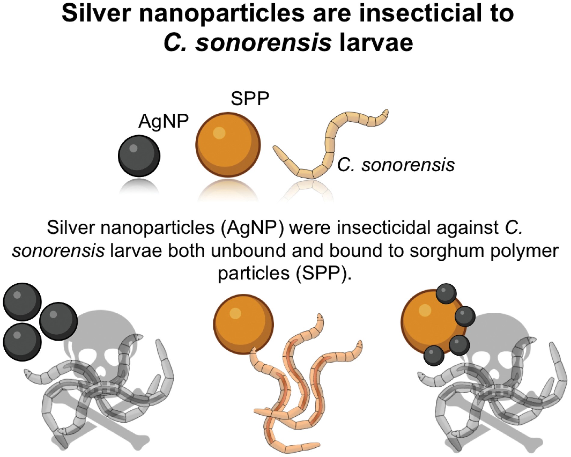 BugBitten Silver Bullets to Slay Biting Midges: Are Nanoparticles ...
