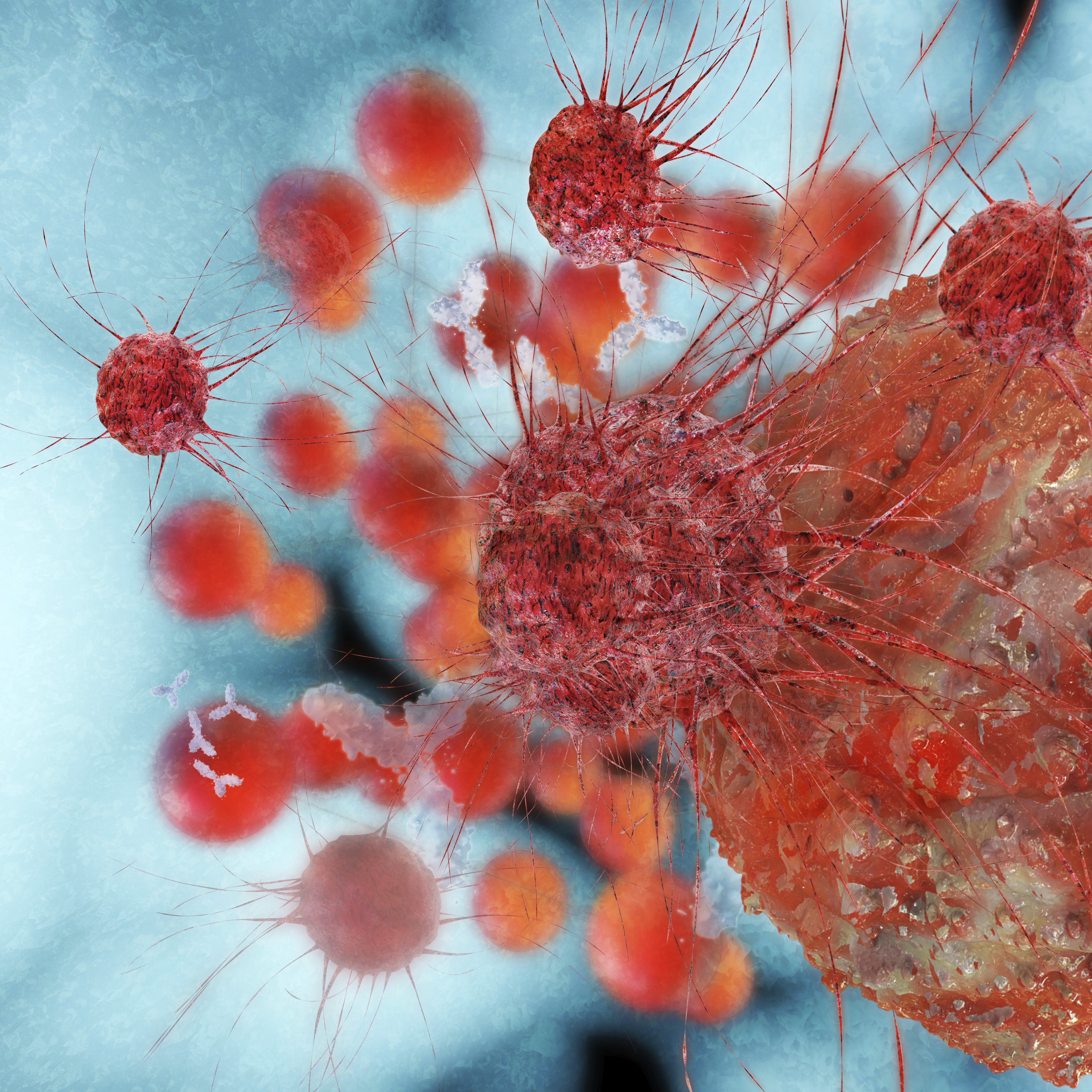 Studying cancer: an Editor Q+A - On Biology