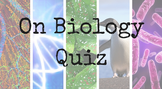 On Biology Quiz: The big end of year On Biology bumper quiz