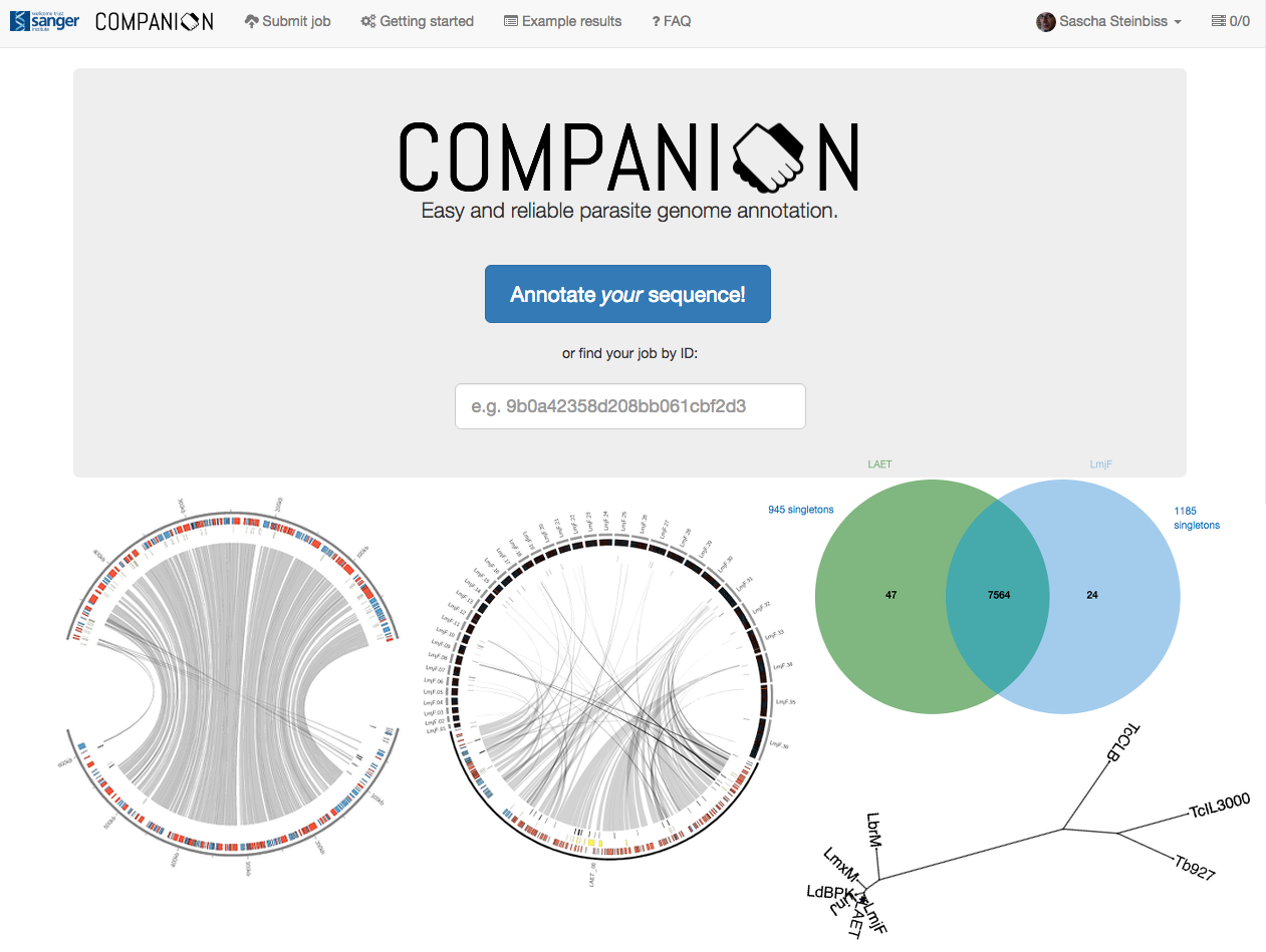 On Biology Companion: a new tool to generate and visualize annotation ...