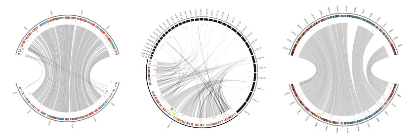 On Biology Companion: a new tool to generate and visualize annotation ...