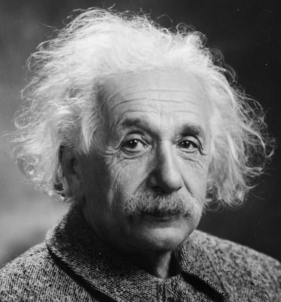 The cerebellum: a new horizon for brain studies of the Genius of Albert ...