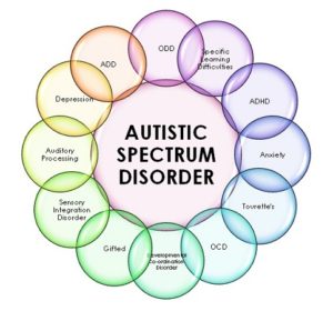 On Biology Diagnosis and treatment of autism: the real story