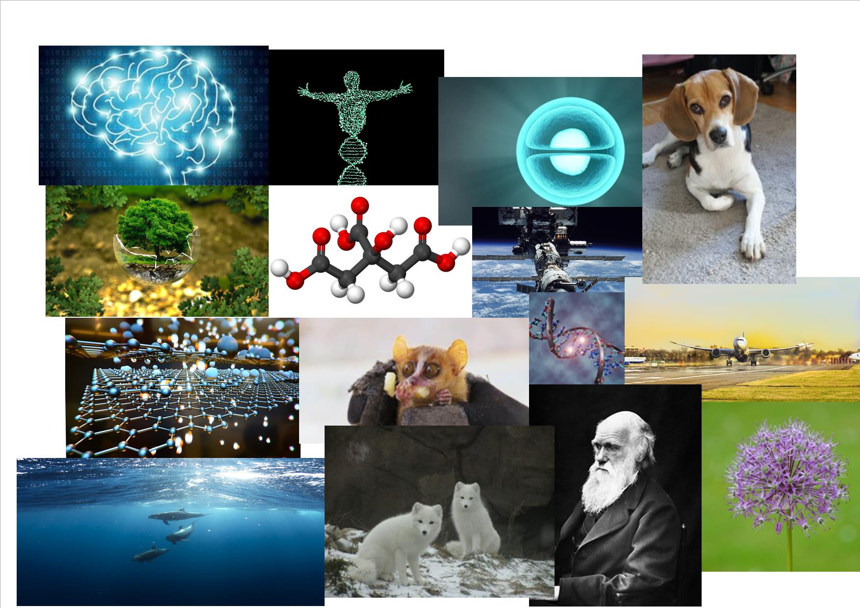 Quiz: so you think you know biology? - On Biology