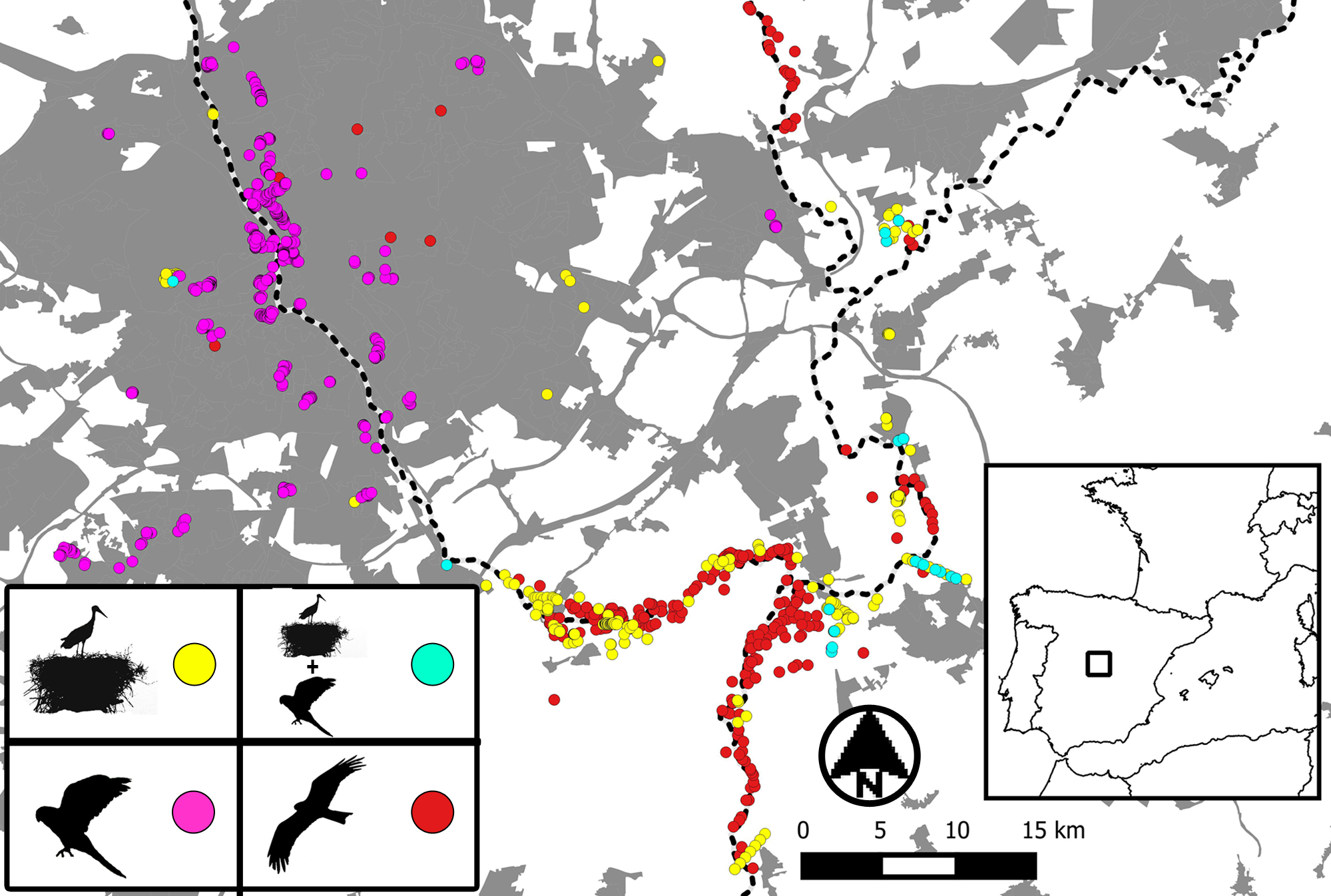 On Biology A protective nesting association with white storks aids the ...