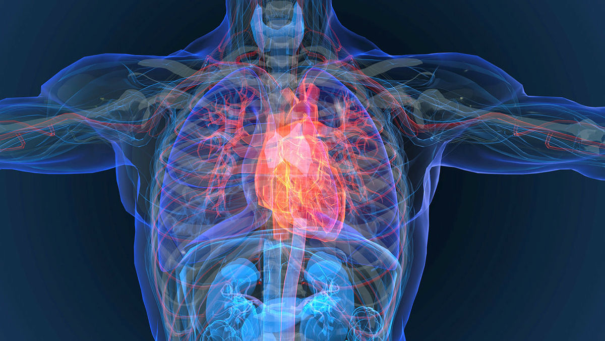 World Heart Day 2020: #UseYourHeart to fight COVID-19 – On Medicine