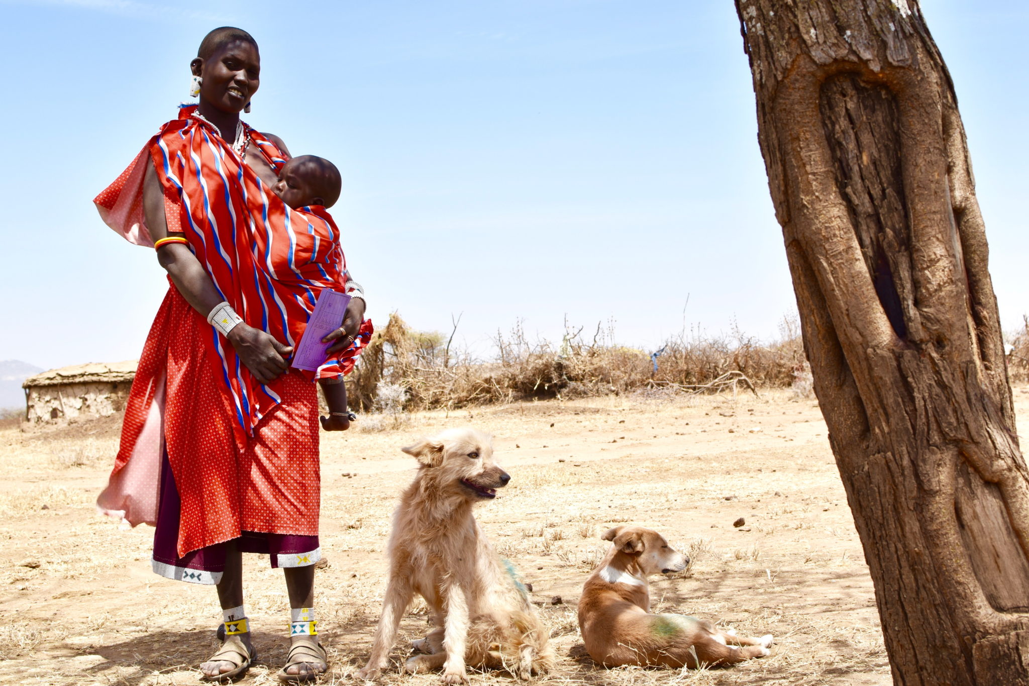 World Rabies Day 2020: where does rabies come from and how can ...