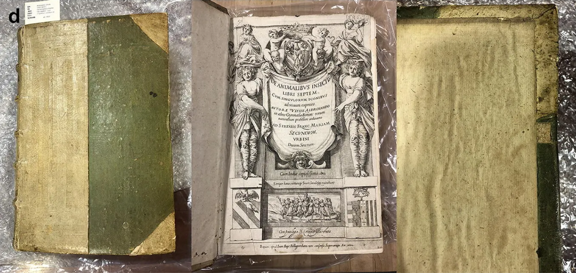 On Physical Sciences Why are we really interested in old books?