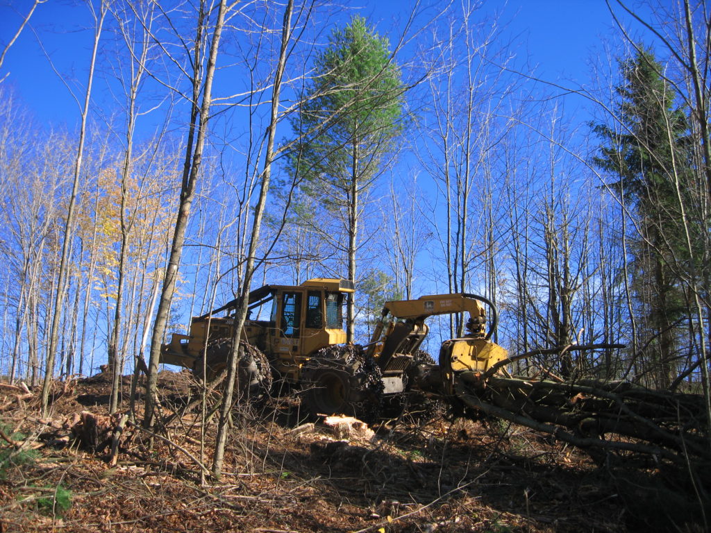 Helping ensure that forest bioenergy is environmentally sustainable ...